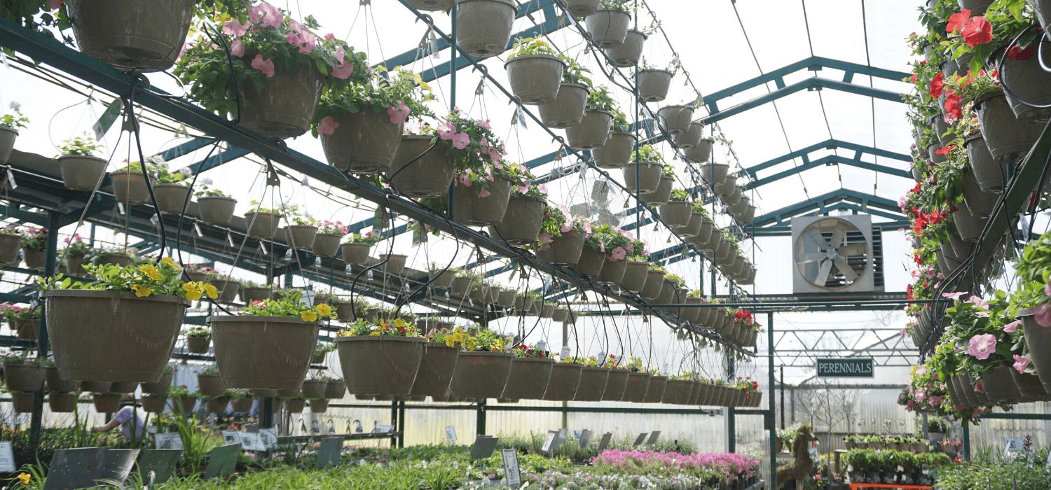 Marcums Nursery | Just Add the Sun!