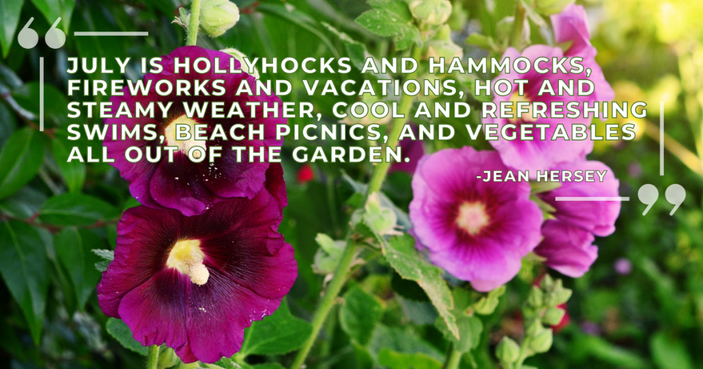 July Lawn & Garden Maintenance | Marcum's Nursery | Goldsby, OK